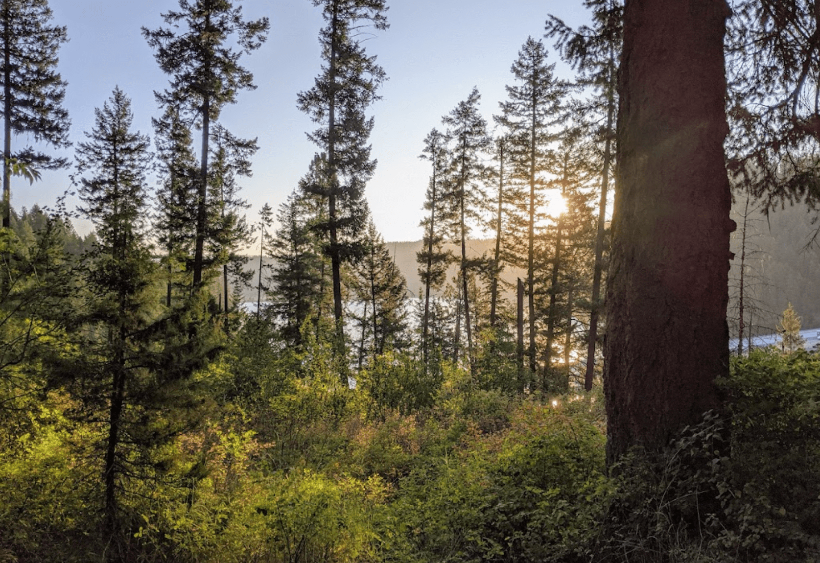 Higgens Point - Visit Coeur d'Alene